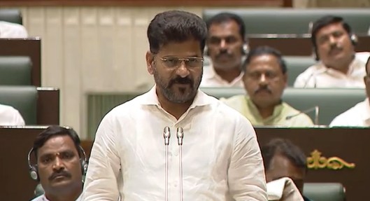 Telangana Bhu Bharathi| ధరణి పోయి భూభారతి వచ్చింది, తేడా ఏముందంటే ...